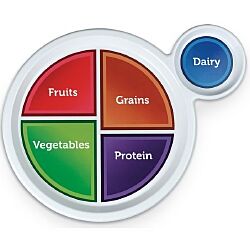 Nutritional Guide Plate MyPlate Plastic
